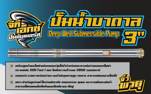 SIAMHW GTX429 (สำหรับบ่อ3นิ้ว ขึ้นไป) 75QJD429-1.5 (2HP) เกลียว 1 ¼ นิ้ว H.Max 102 เมตร (สะบัดทราย)