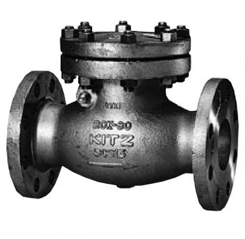 KITZ Stainless Steel Swing Check Valve CF8 300 Psi. Flanged 1-1/2 Inch ...