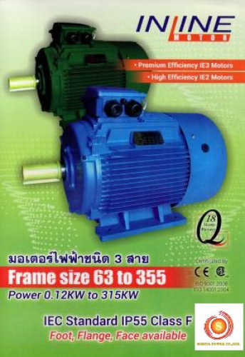 INLINE Motor รุ่น IF2-355LX-2 375HP 2P 400V B3 มอเตอร์ อินไลน์(IE2)