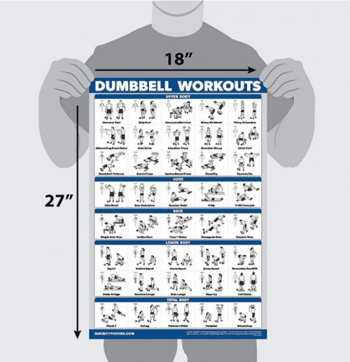 QuickFit : QKFDBL2P* โปสเตอร์ QuickFit Dumbbell Workout Exercise ...
